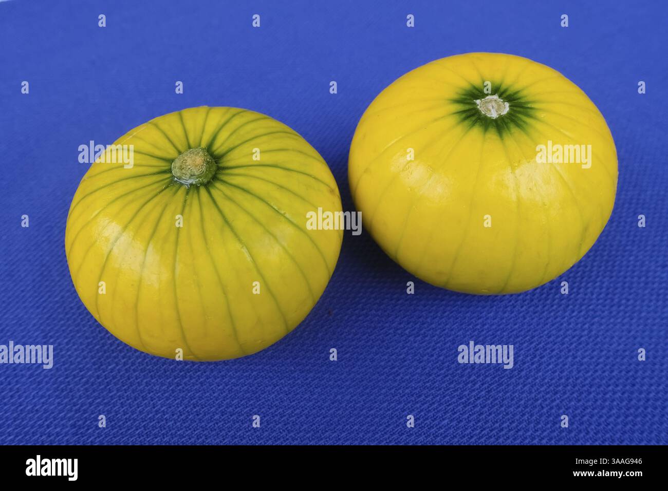 Courgette (Cucurbita pepo subsp. pepo convar. giromontiina), courgette ...