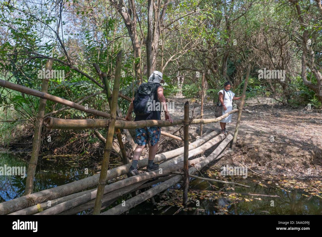 Indigenous Arhuaco lady leading a tourist to her village in the forest ...