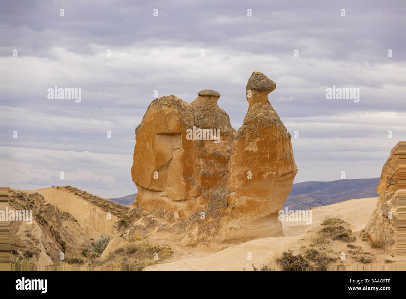 Rock Formation in the Devrent Valley in Cappadocia, Camel Valley ...