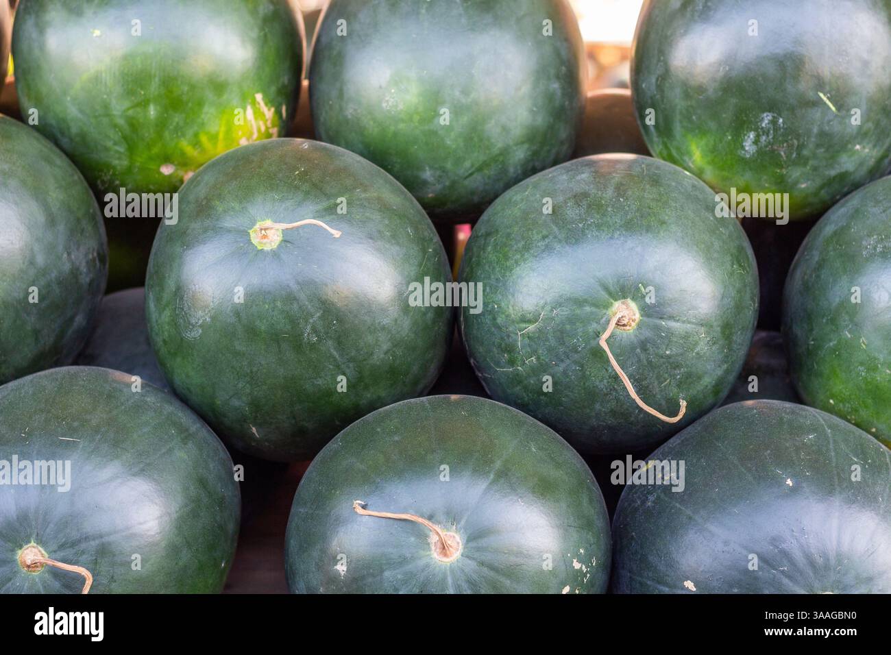 A pile of fresh watermelons on display at a local market in Batangas ...