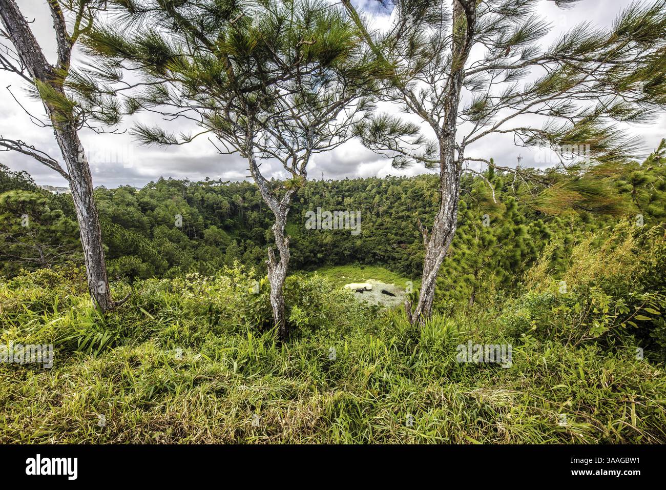 Trou aux Cerfs or Murr's Volcano in Mauritius, Indian Ocean Stock Photo ...