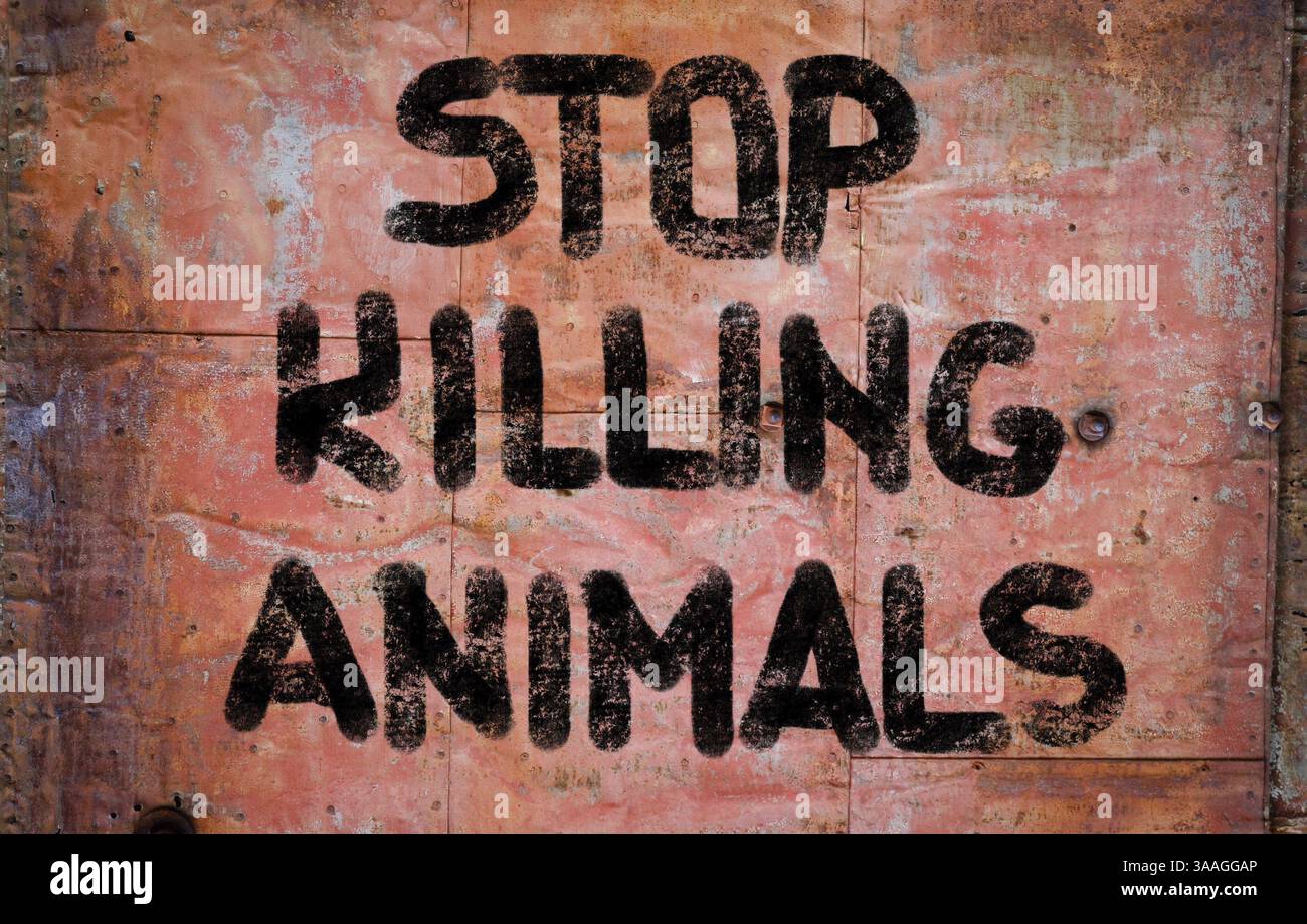 Stop Killing Animals Concept Stock Photo - Alamy