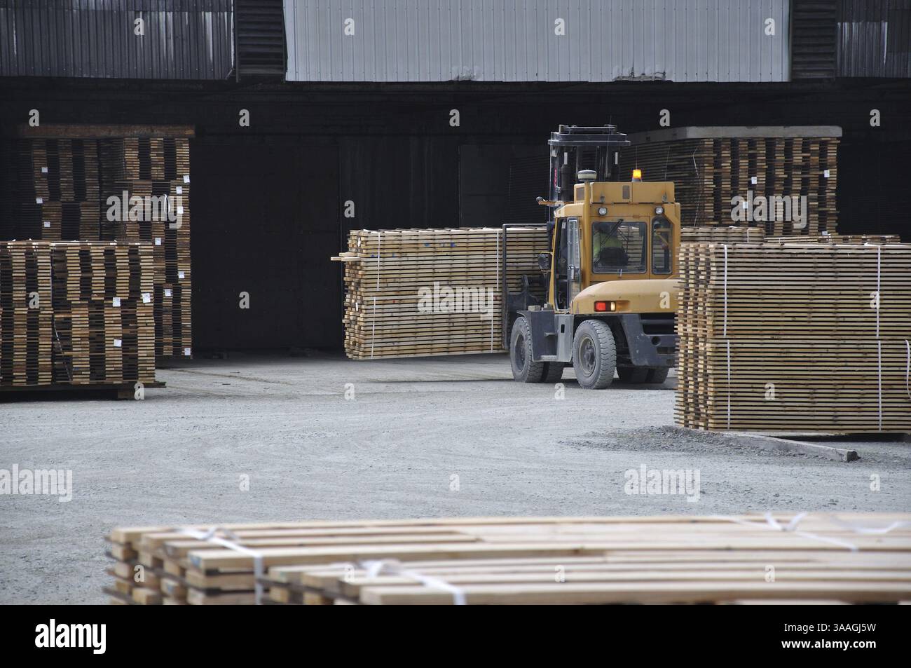 Forklift carries a load of milled timber at a sawmill Stock Photo - Alamy