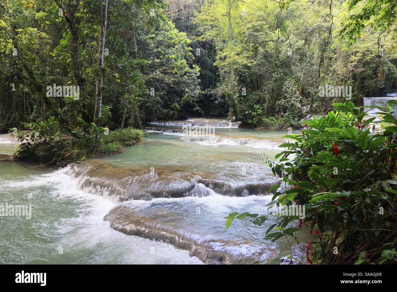 The YS Waterfalls in Jamaica, Caribbean, America, Jamaica, Central ...