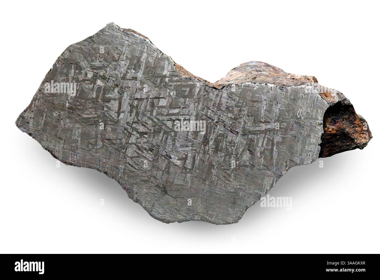 Cruz del Aire (iron, octahedrite), Sabinas Hidalgo, Nuevo Leon, Mexico ...