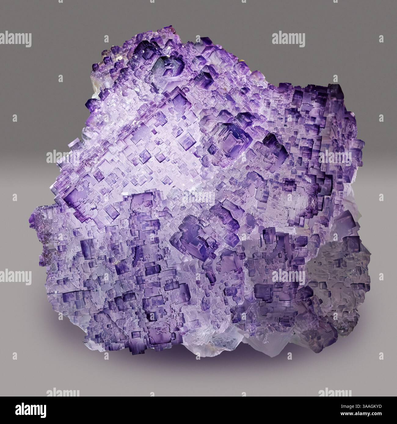 Tule mine hi-res stock photography and images - Alamy