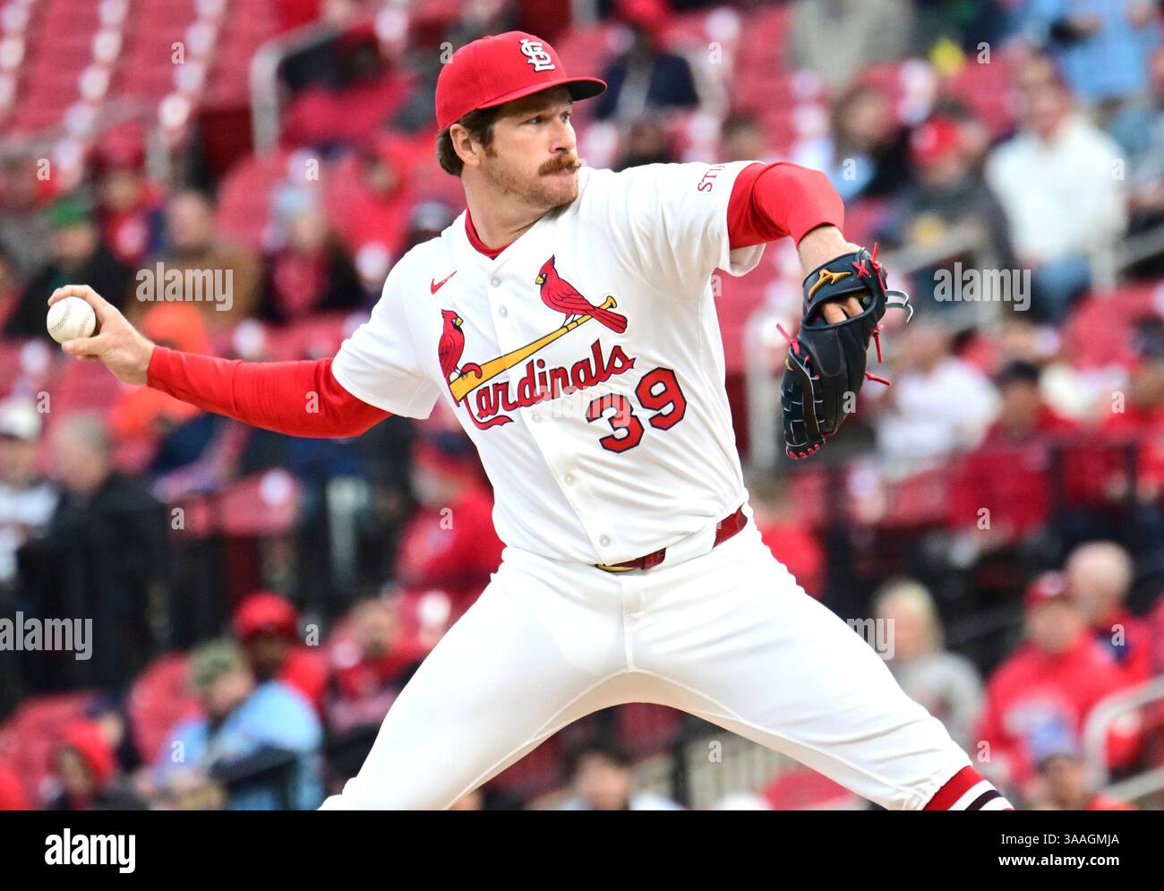 ST. LOUIS, MO - MARCH 31: St. Louis Cardinals starting pitcher Miles ...
