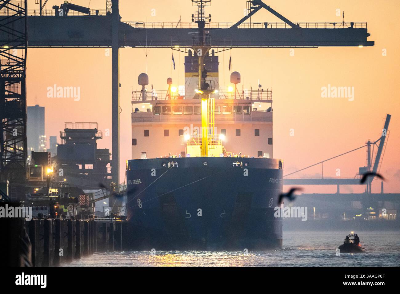 Nordenham, Germany. 01st Apr, 2025. The special ship "Pacific Grebe ...
