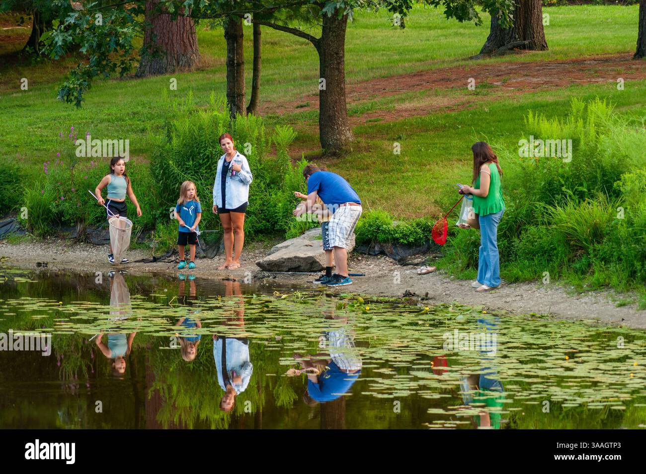 Parents supervise children fishing and pond-dipping with hand nets ...
