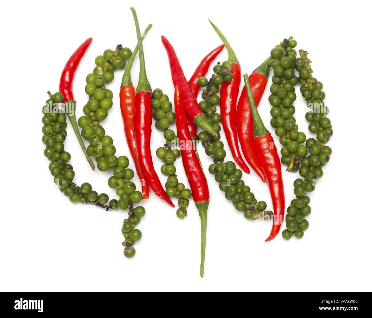 Chili pepper and green bell pepper. Isolate on white Stock Photo - Alamy
