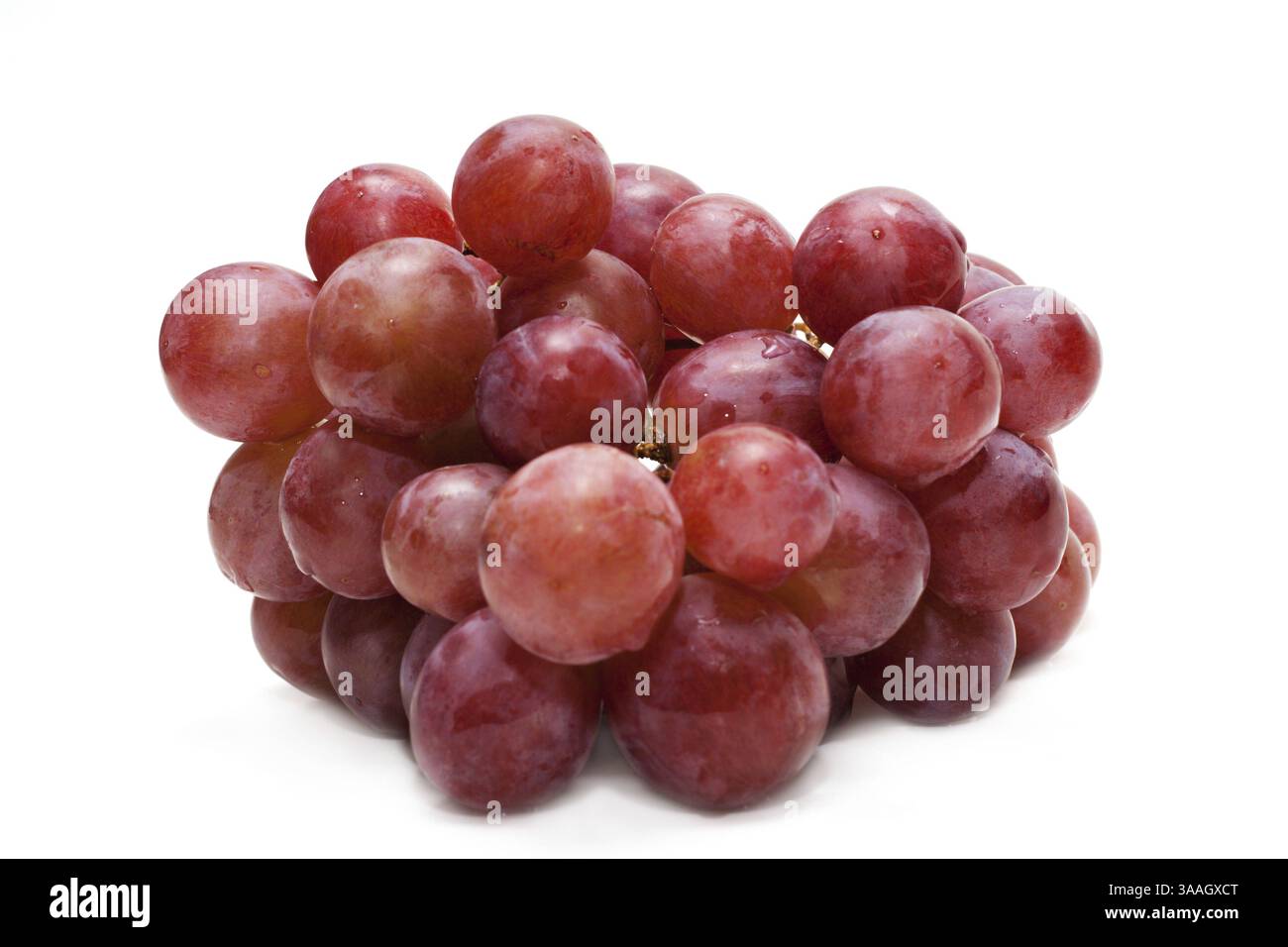 Berries of grape, small circle in dewdrop, insulated on white ...