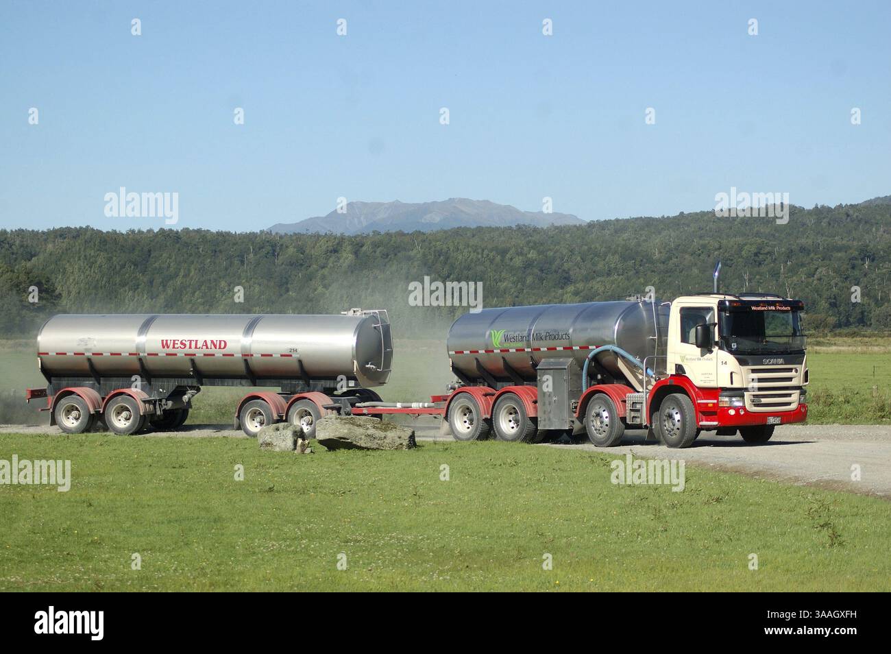 Westland Milk tanker en route to a West Coast dairy farm, South Island ...