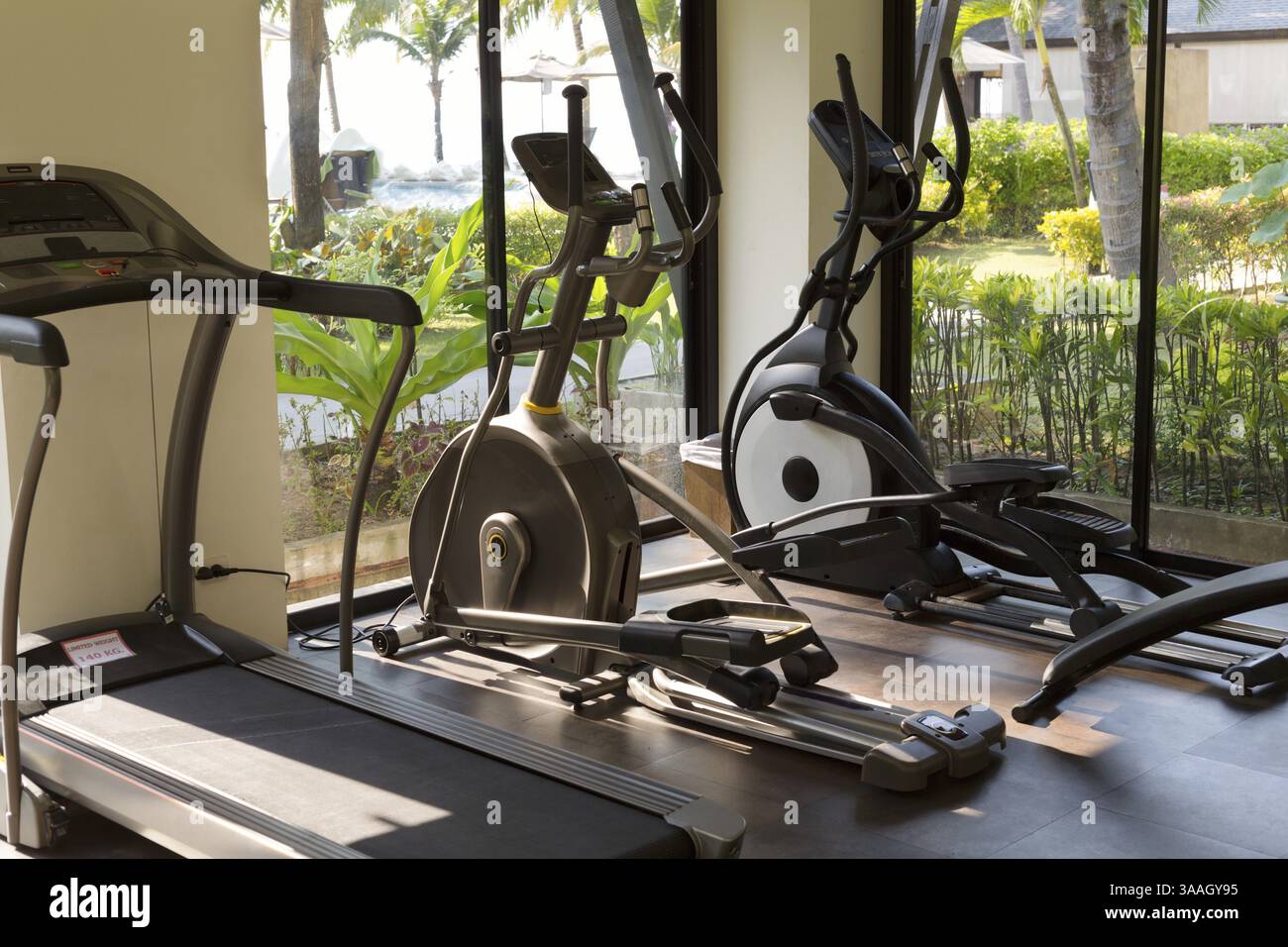 Gym with jogging simulators with windows on the tropics Stock Photo - Alamy