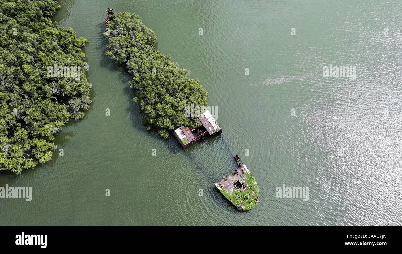 SS Ayrfield Shipwreck, Homebush Bay, Sydney, Australia Stock Photo - Alamy