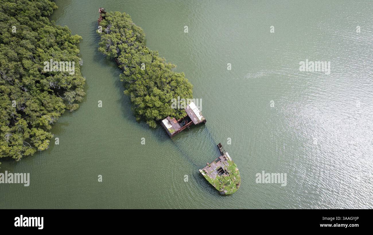 SS Ayrfield Shipwreck, Homebush Bay, Sydney, Australia Stock Photo - Alamy