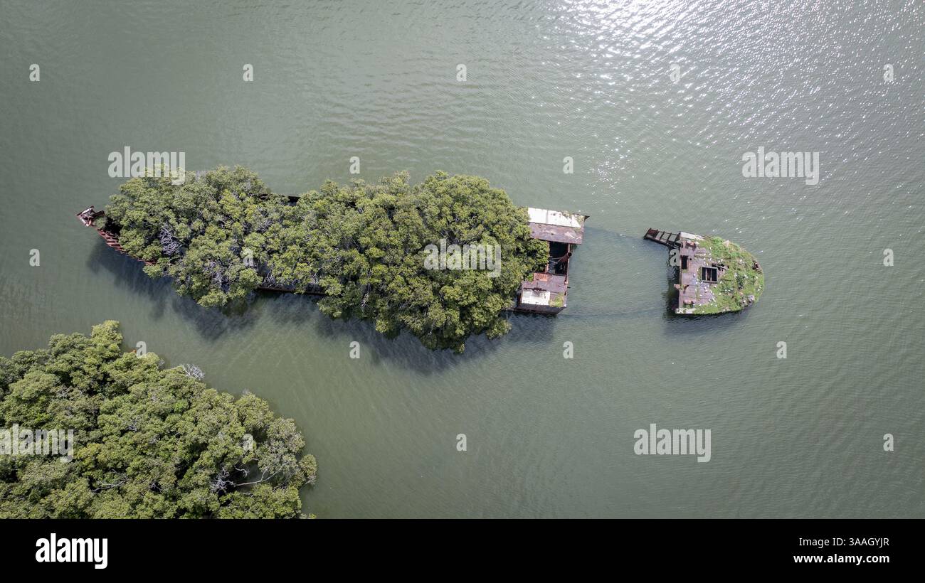 SS Ayrfield Shipwreck, Homebush Bay, Sydney, Australia Stock Photo - Alamy