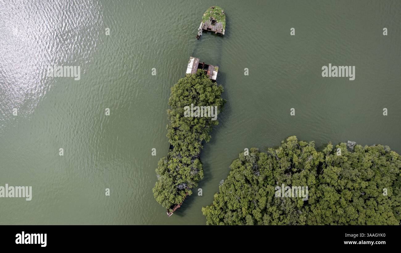 SS Ayrfield Shipwreck, Homebush Bay, Sydney, Australia Stock Photo - Alamy