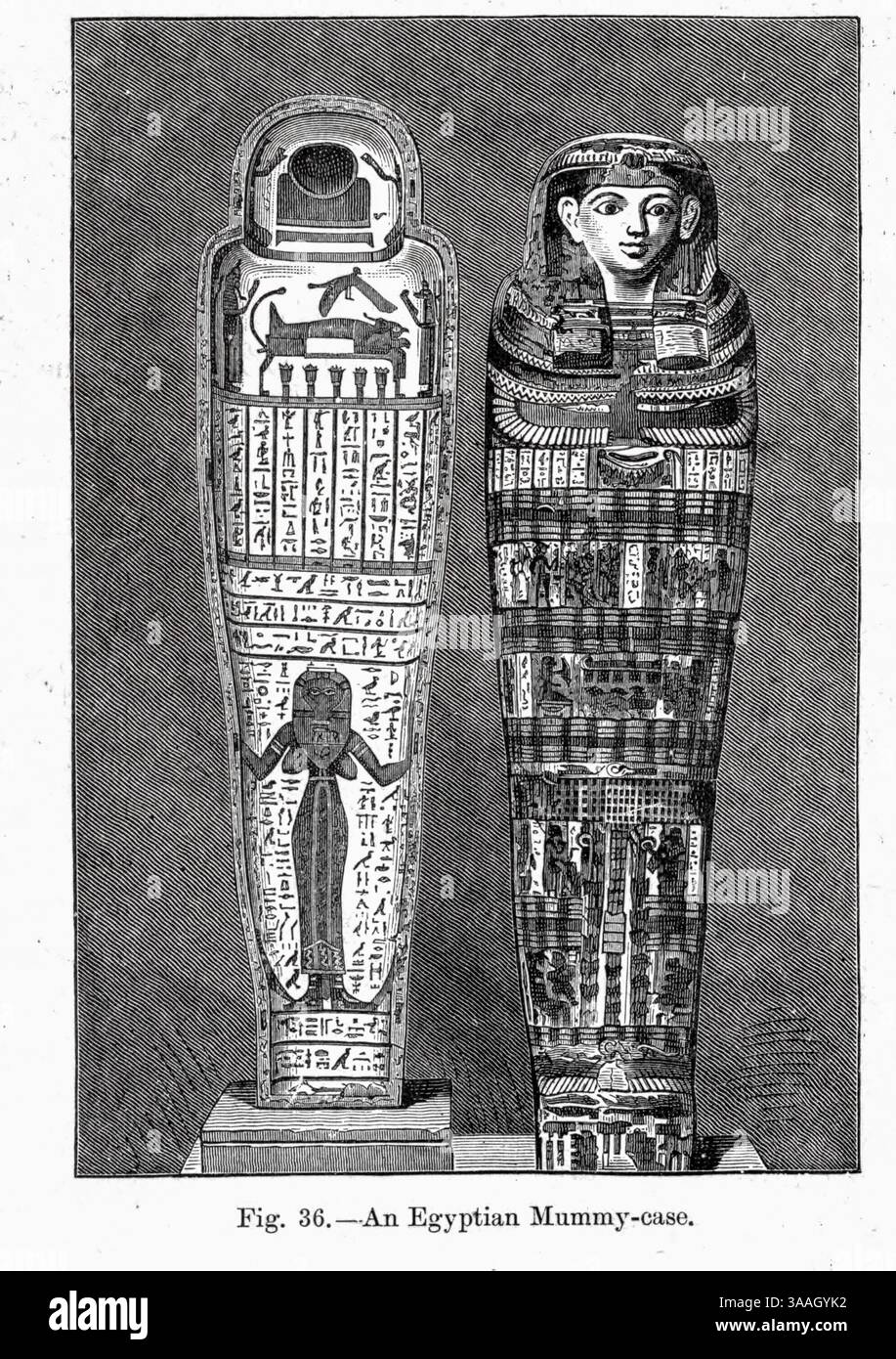 Egyptian Mummy case from the book Graven in the rock : or, The ...