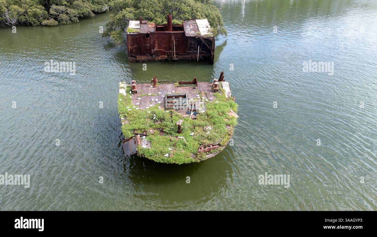 SS Ayrfield Shipwreck, Homebush Bay, Sydney, Australia Stock Photo - Alamy