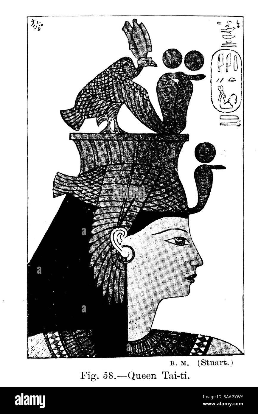 Queen Tiye Mother Of Akhenaten And Grandmother Of Queen Tiye