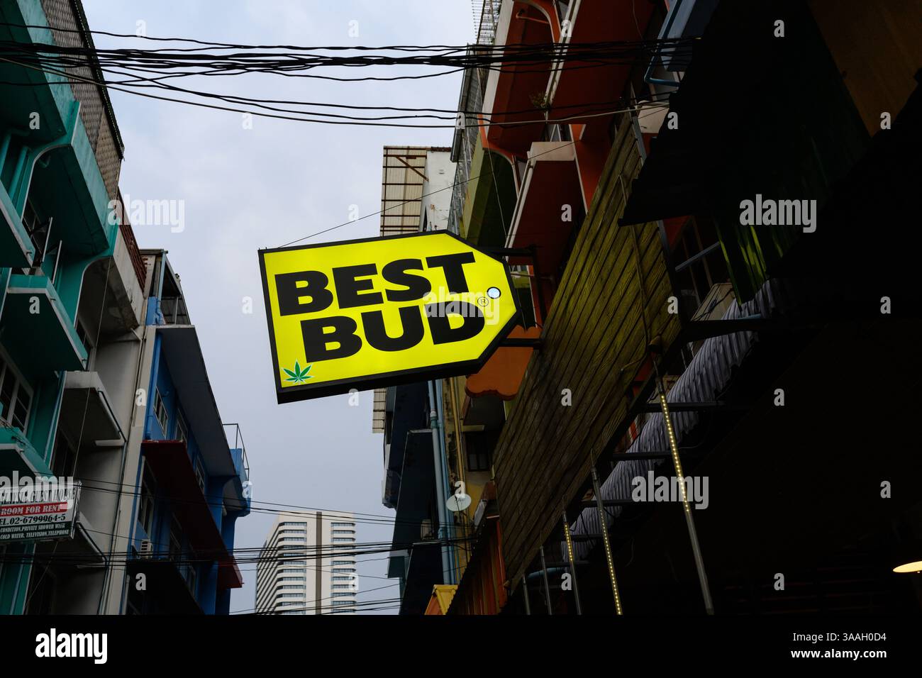 Best Bud sign for Legal cannabis and marijuana products store selling ...