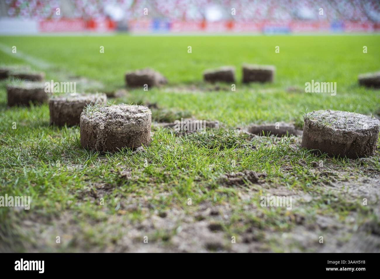 Repairing lawn patch hi-res stock photography and images - Alamy