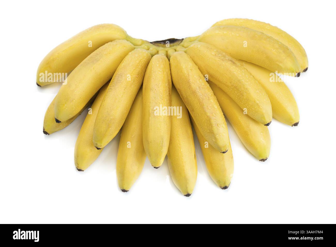 Natural small tropical banana in a bunch over white background Stock ...