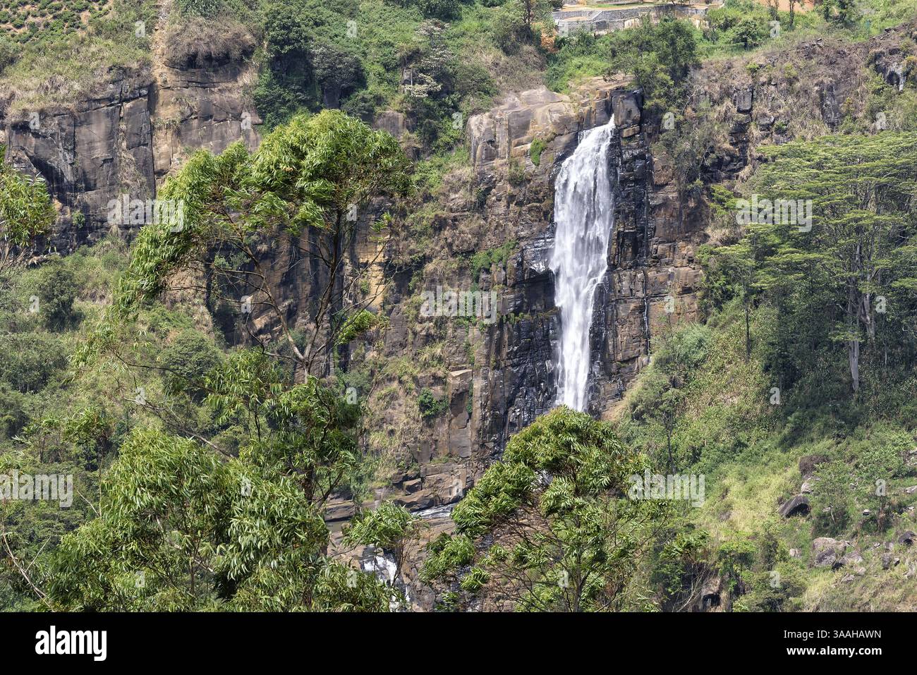 Waterfall in Sri Lanka Stock Photo - Alamy