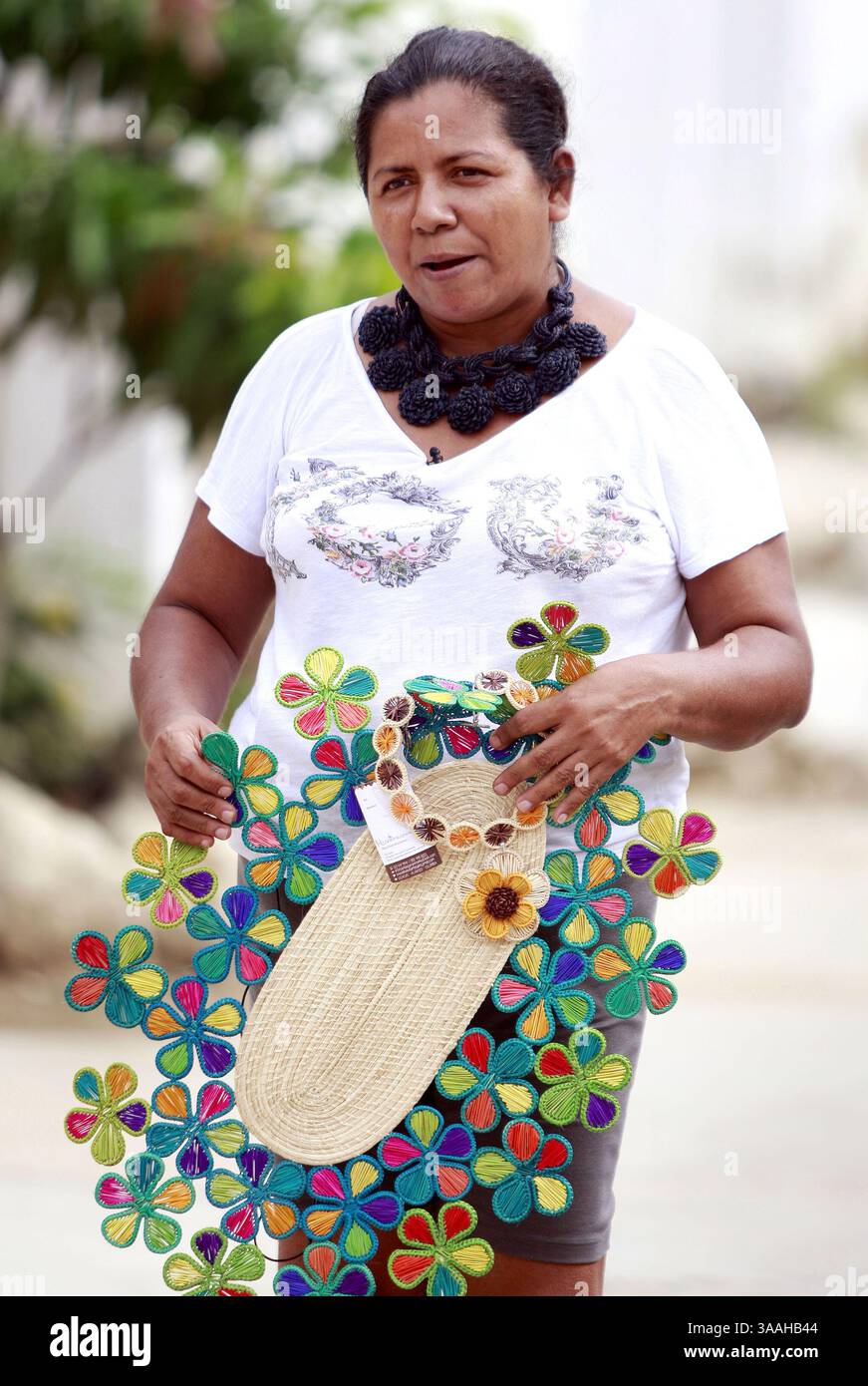 Etapa de bandera hi-res stock photography and images - Alamy