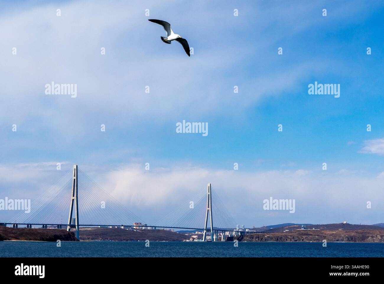 Russky Bridge is cable-stayed bridge in Vladivostok, Russia. Bridge ...