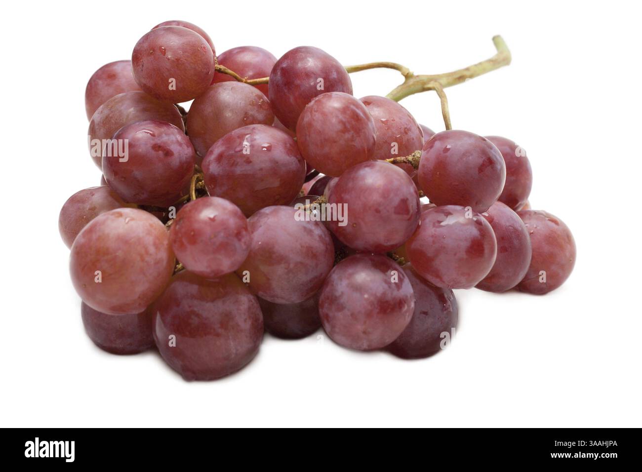 Berries of grape, small circle in dewdrop, insulated on white ...