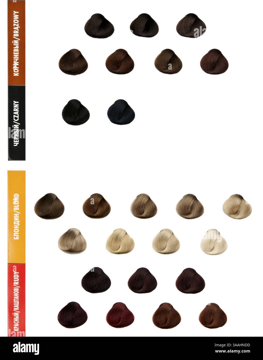 Professional palette of hair colors for color selection Stock Photo - Alamy