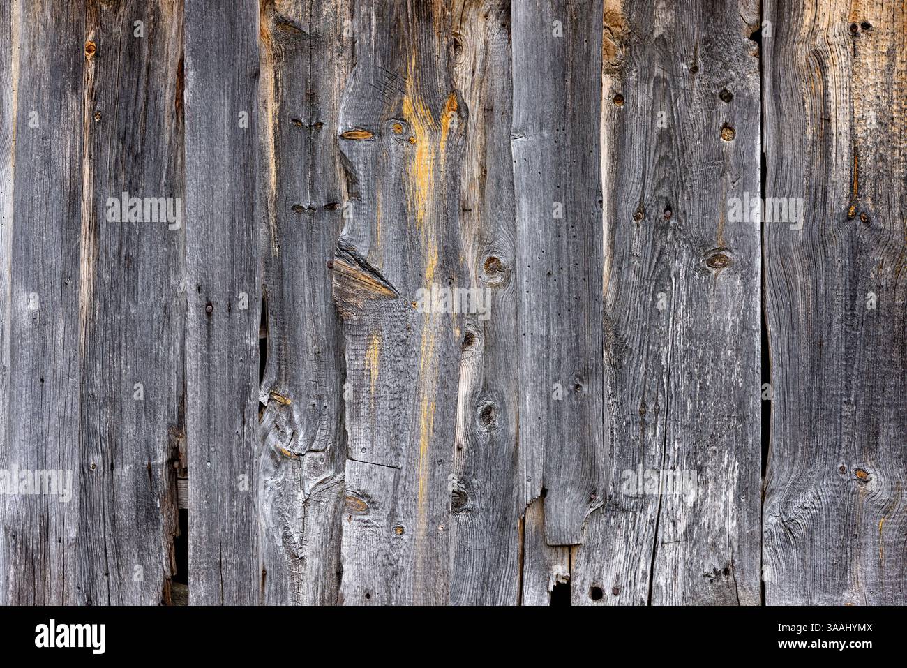 Weathered wooden wall displays a blend of gray tones and textures ...
