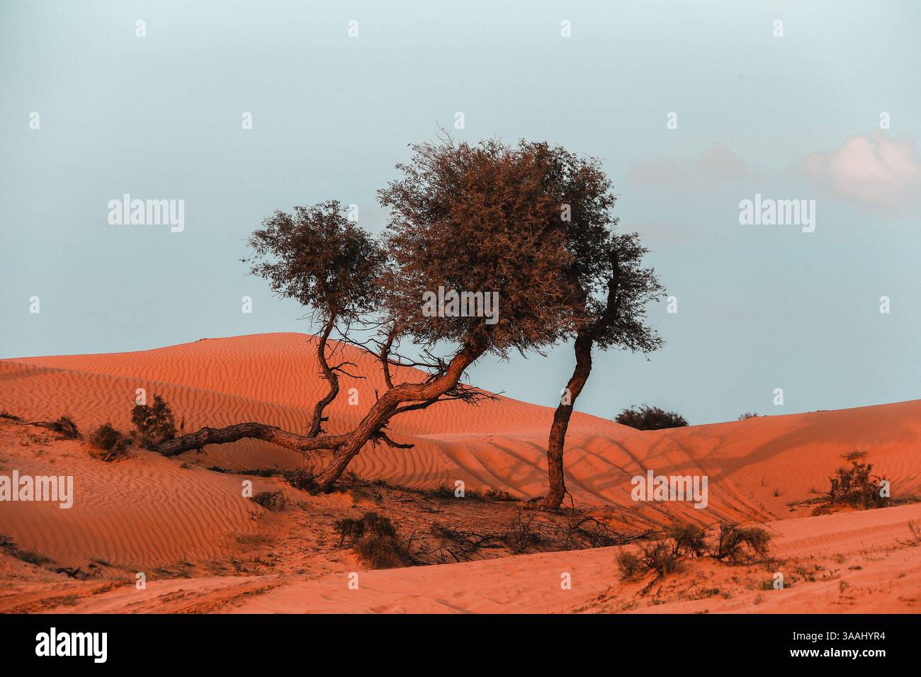 The Desert in Ras al Khaimah, United Arab Emirates, Asia Stock Photo ...