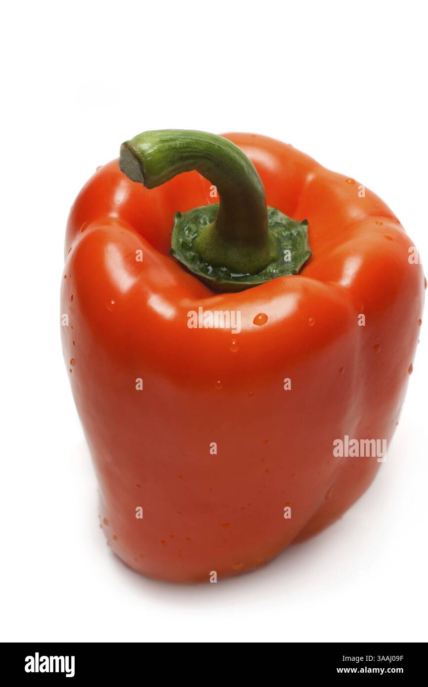 Orange bulgarian pepper insulated on white background Stock Photo - Alamy