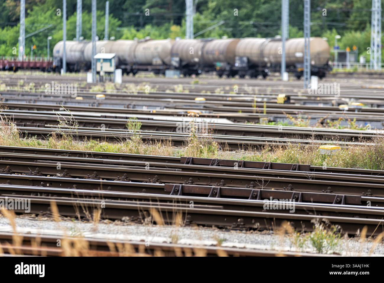 Track with points in a railway station Stock Photo - Alamy