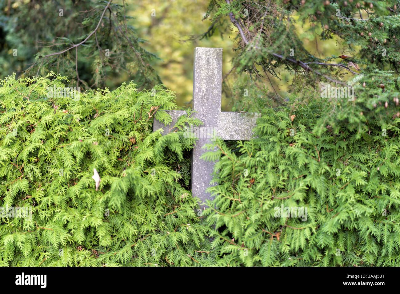 Cemetery in Germany with old graves Stock Photo - Alamy