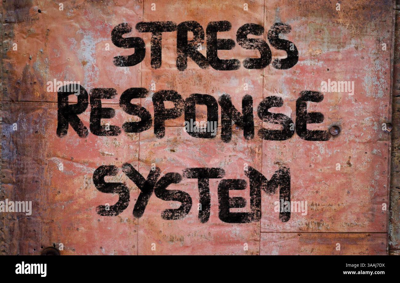 Stress Response System Concept Stock Photo - Alamy