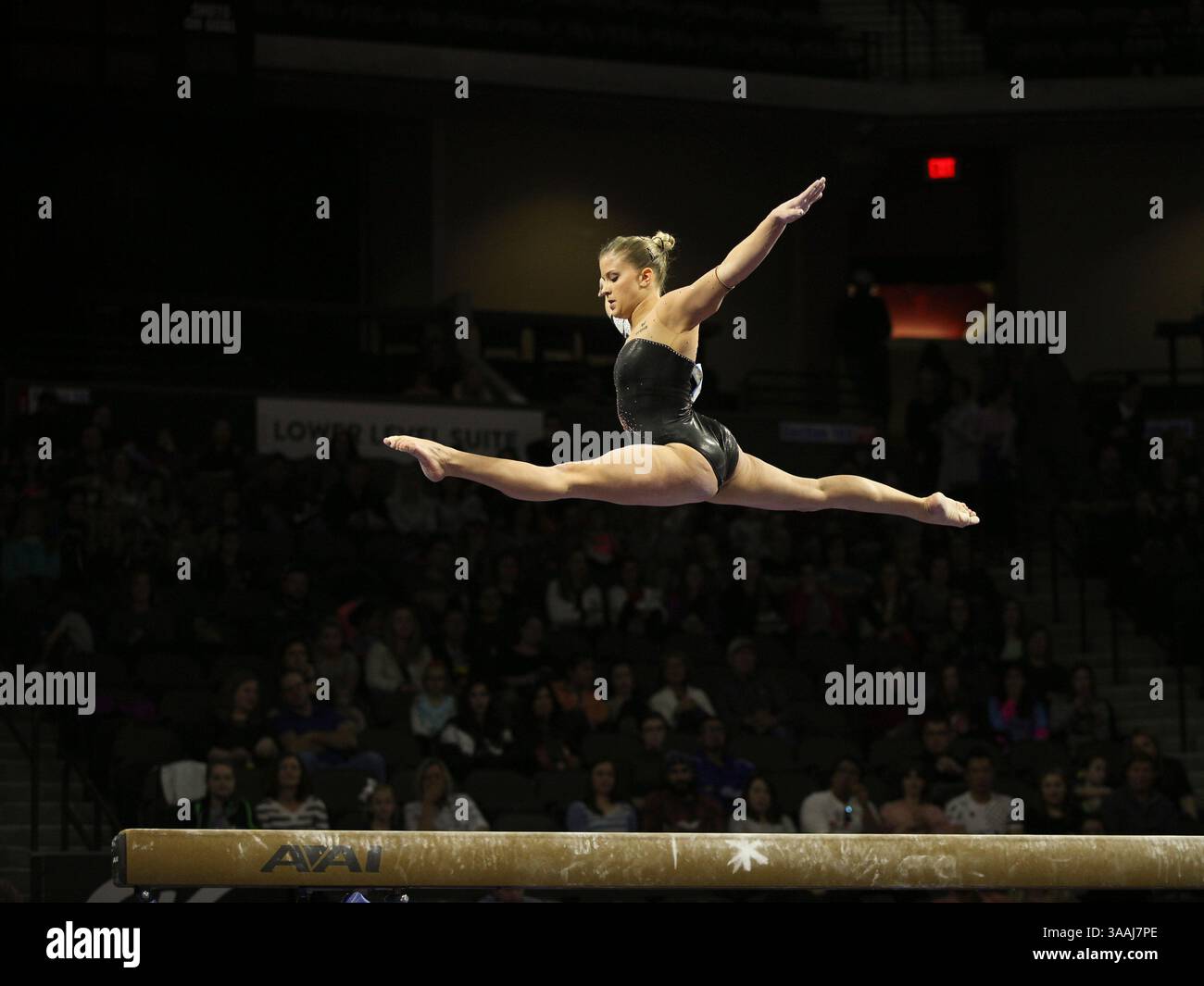 March 3, 2018: Gymnast Elisabeth Seitz (GER) during the 2018 American ...