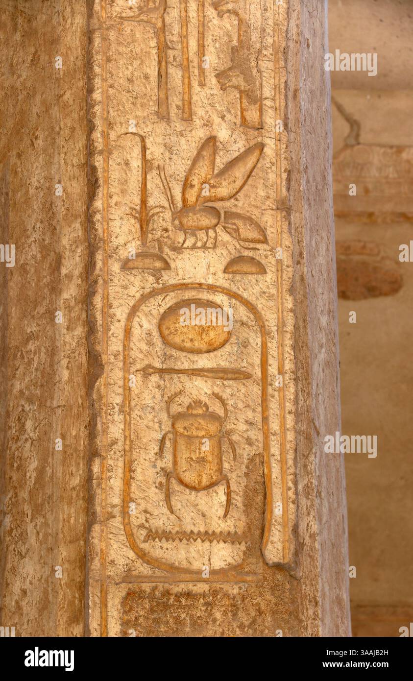Vertical background with ancient Egyptian hieroglyphs on stone wall ...