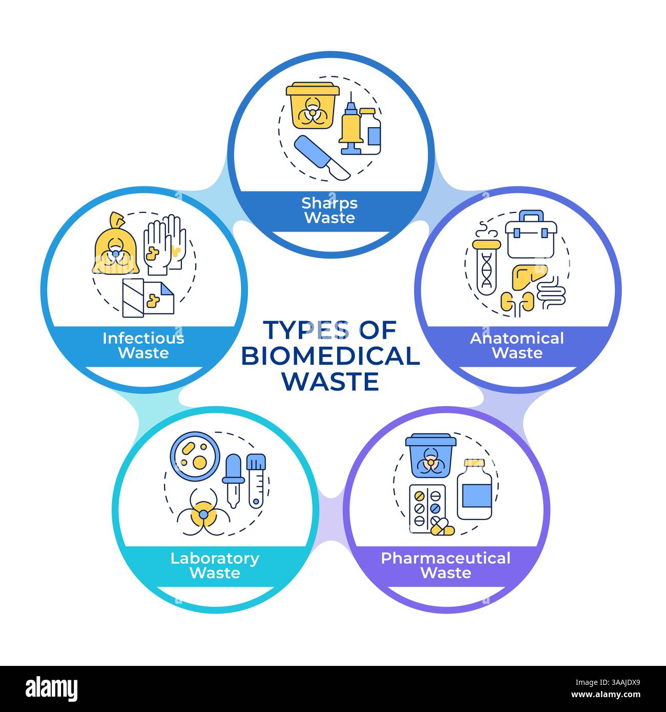 Biomedical waste management infographic circles flowchart Stock Vector ...
