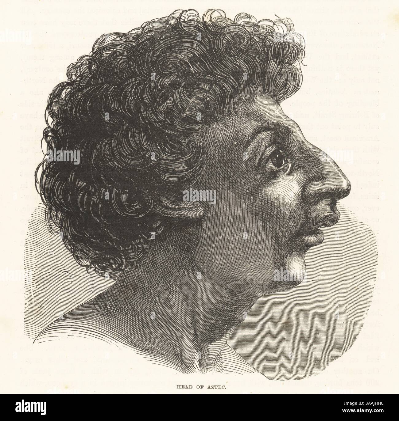 Portrait of an Aztec man in profile. Young man with curly hair, large ...