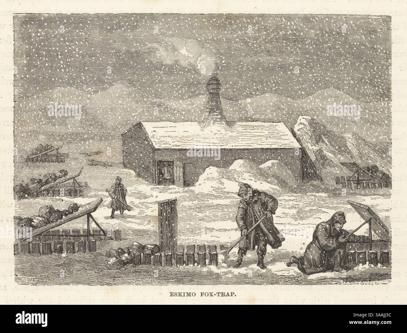 Fur trapping hi-res stock photography and images - Alamy