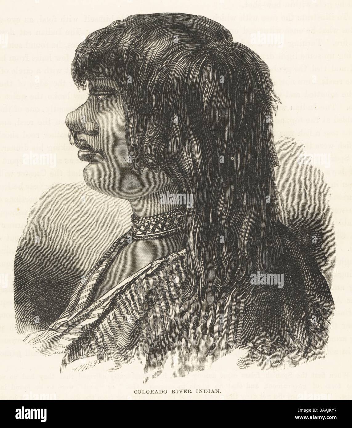 Portrait of a Mohave or Chemehuevi man in profile. Long straight hair ...