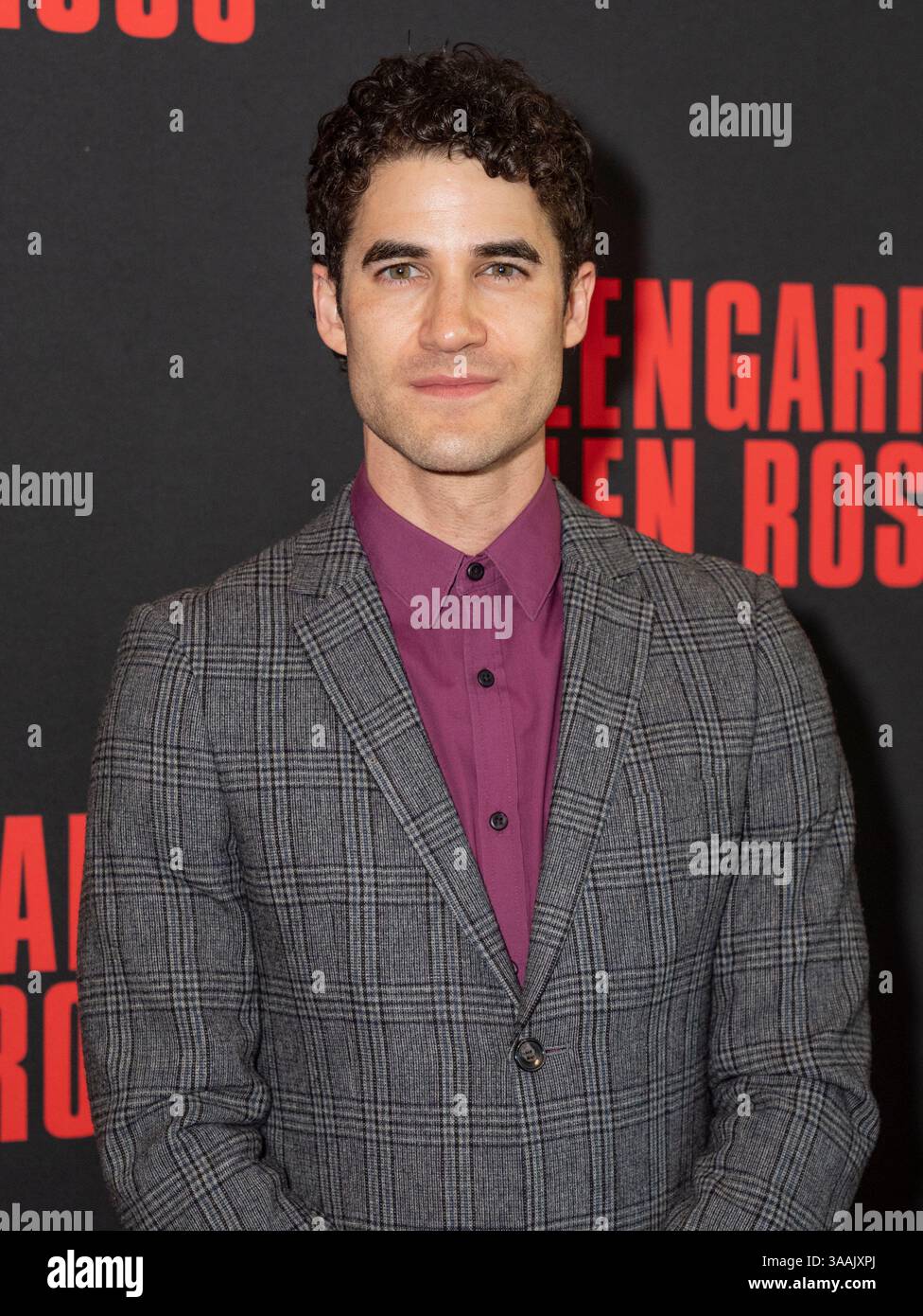 New York, NY, March 31, 2025: Darren Criss attends opening night of ...