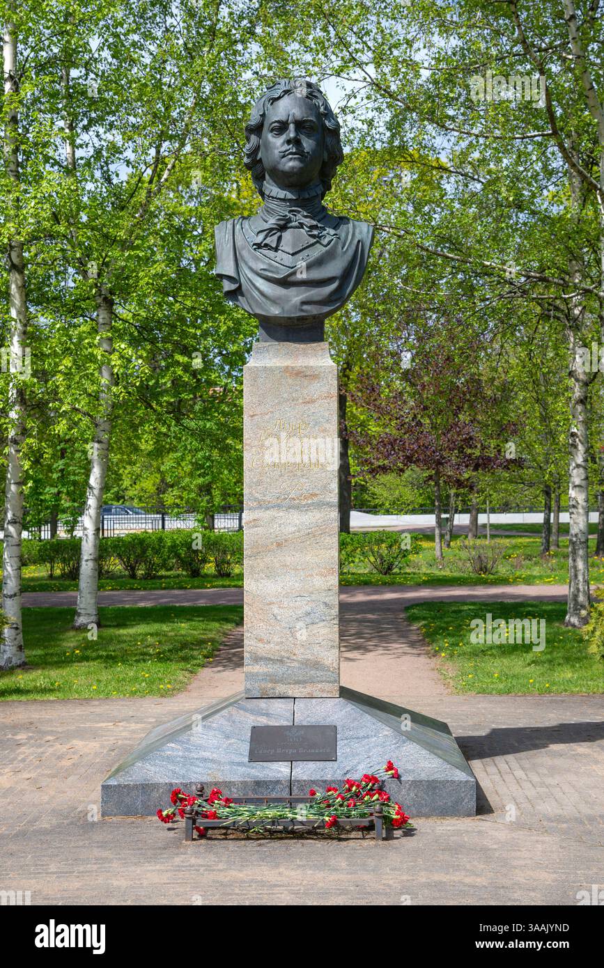 SESTRORETSK, RUSSIA - MAY 29, 2022: Bust of Peter the Great in honor of ...