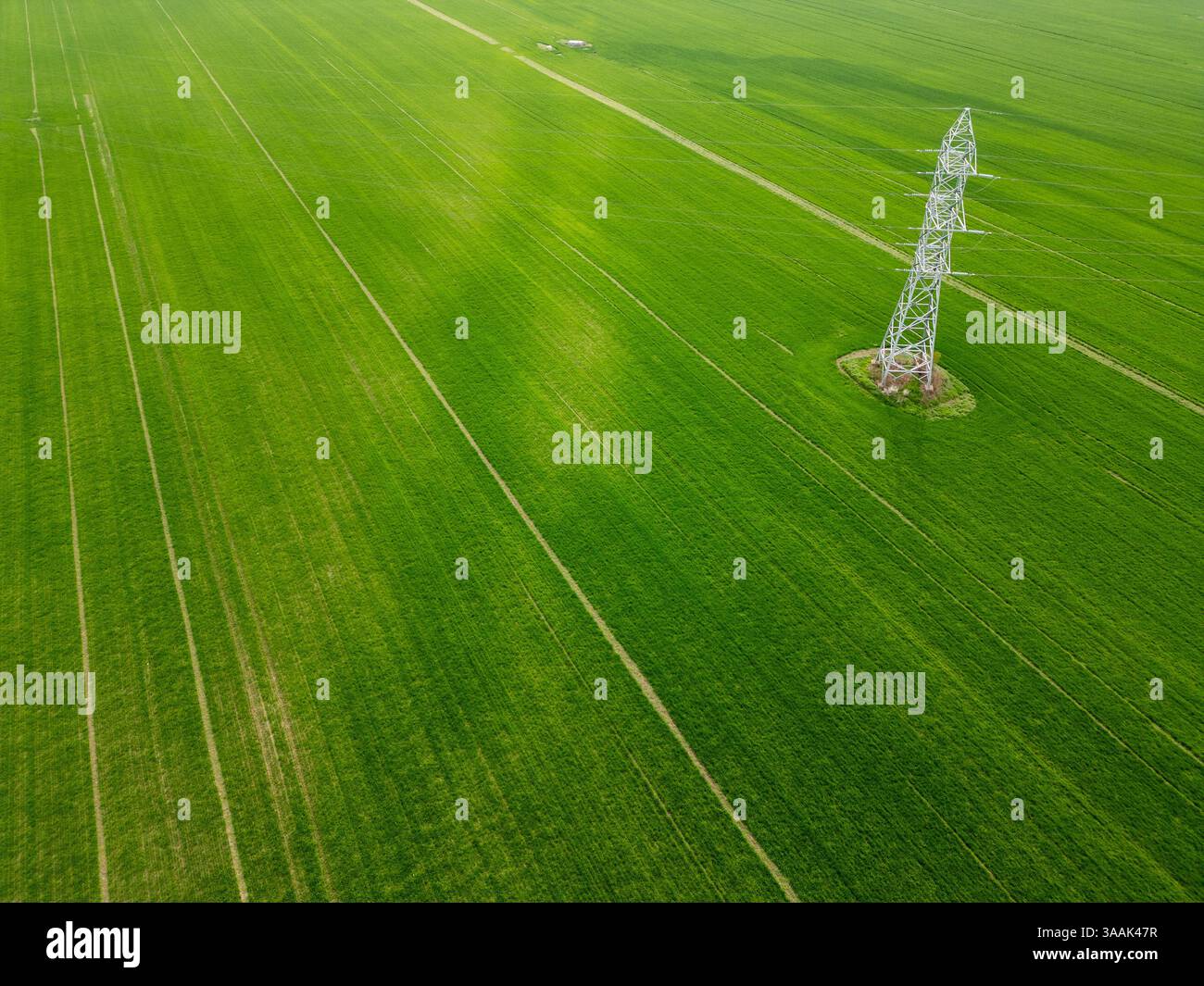 Aerial view of a vibrant green agricultural field with young crops ...