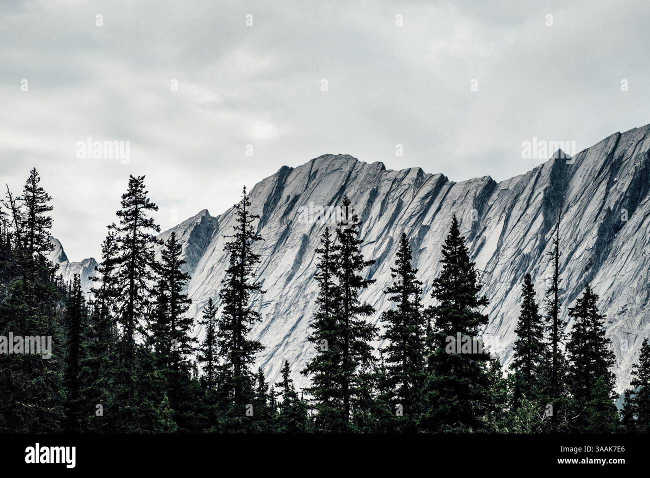 Sharp, severe craggy gray mountain face behind tree silhouettes Stock ...