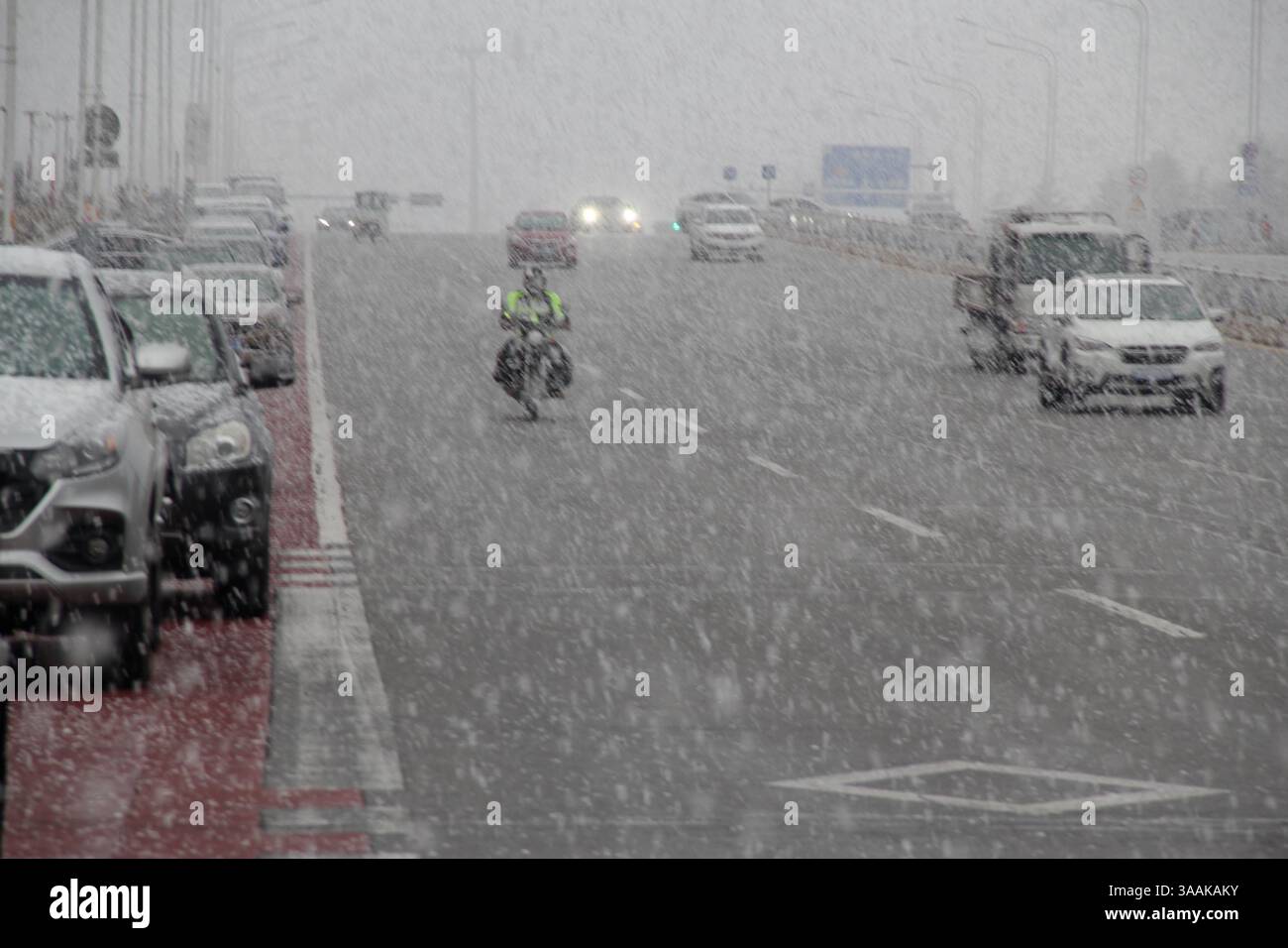 A heavy snowfall hits Weihai City, east China's Shandong Province, 29 ...