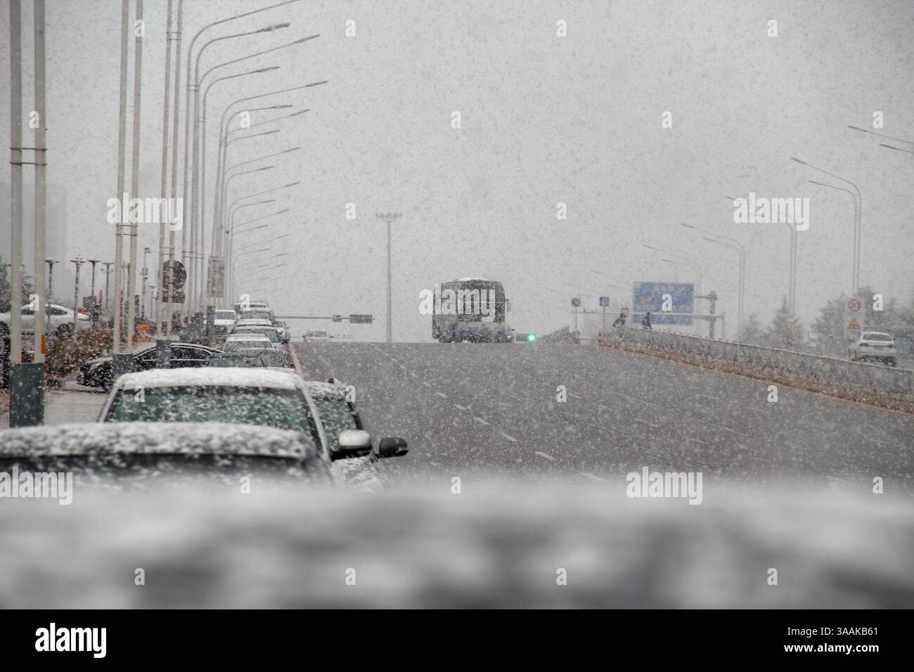 A heavy snowfall hits Weihai City, east China's Shandong Province, 29 ...